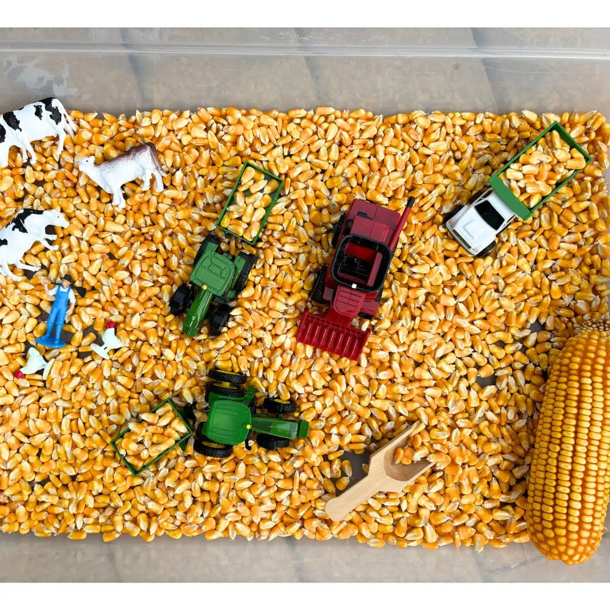 The Best Farm Activities for Preschoolers & Toddlers They’ll Love ...